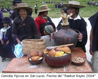 IDIOMA DE LOS SARAGUROS