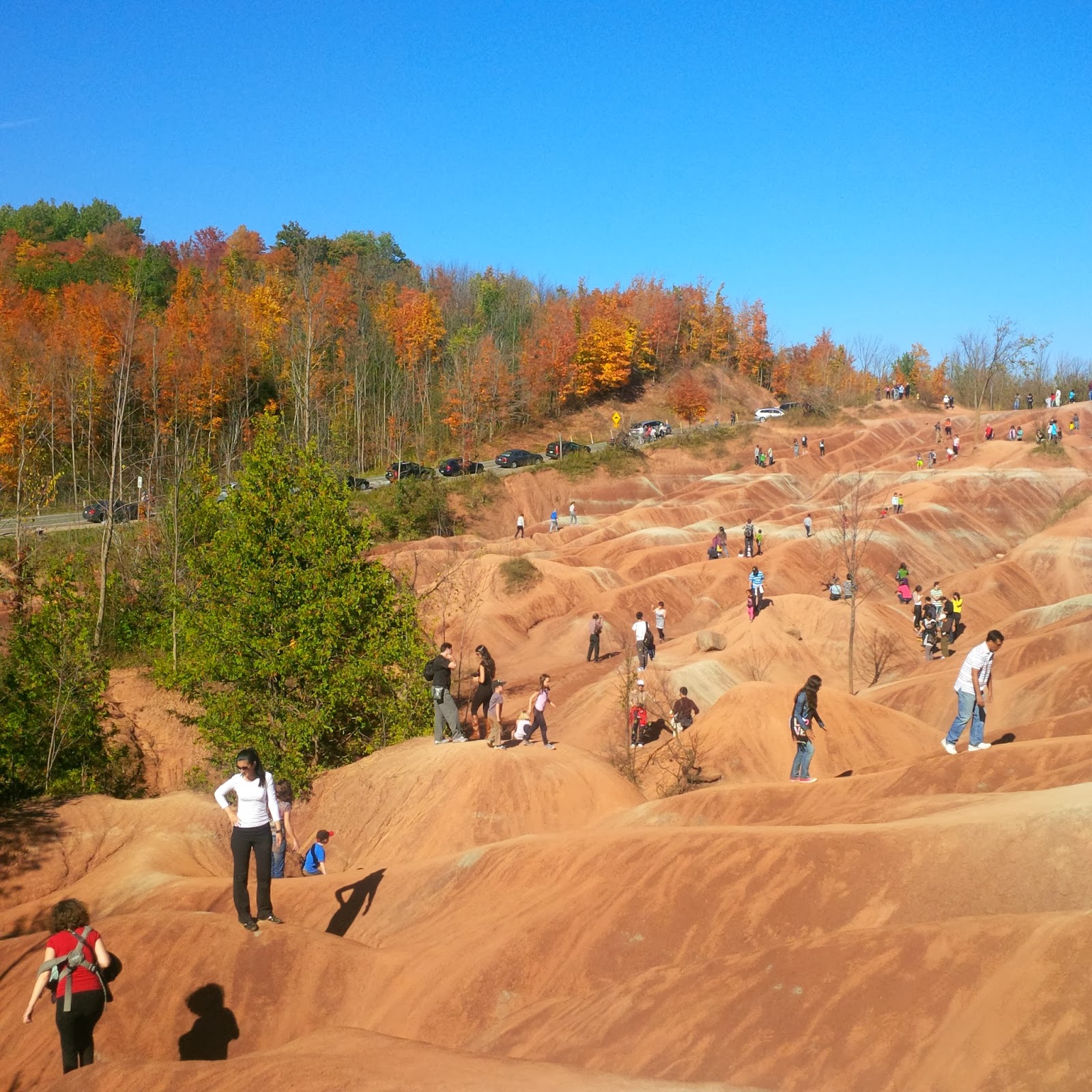 Oblivious Drifter: Fall trip 2013 - Forks of the Credit, Caledon