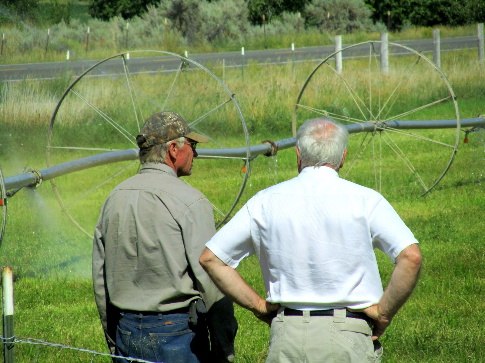 Keeping Focused: "You Been Farming Long?"