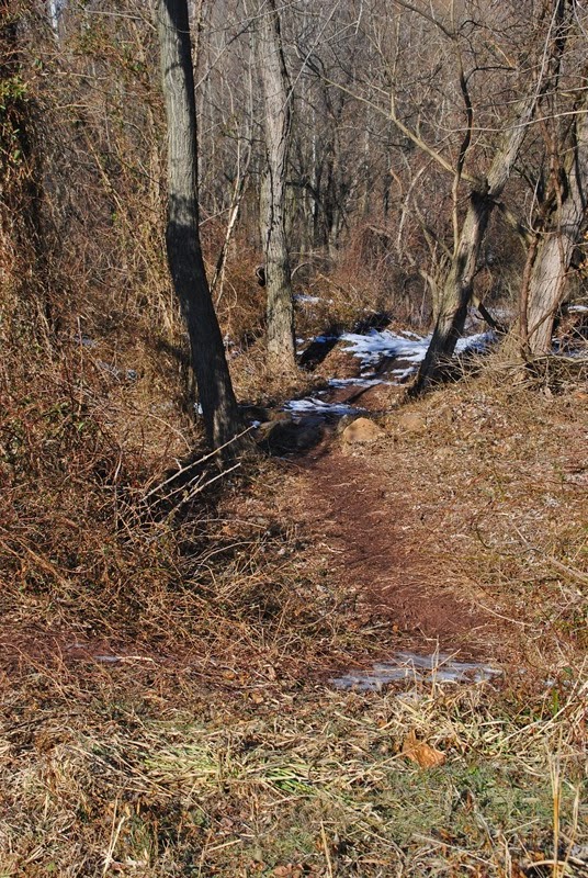 Southeastern PA Hiking: Black Rock Sanctuary