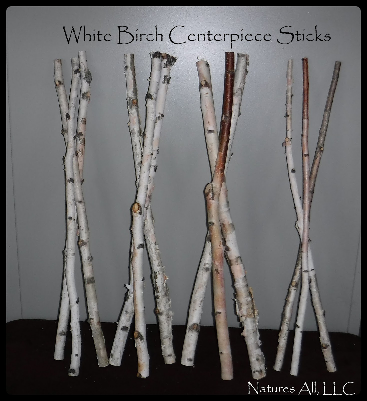 The Natures All, LLC Blog