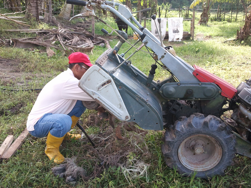 d timur ternak enterprise: Pembajakan Tanah Untuk Penanaman Napier