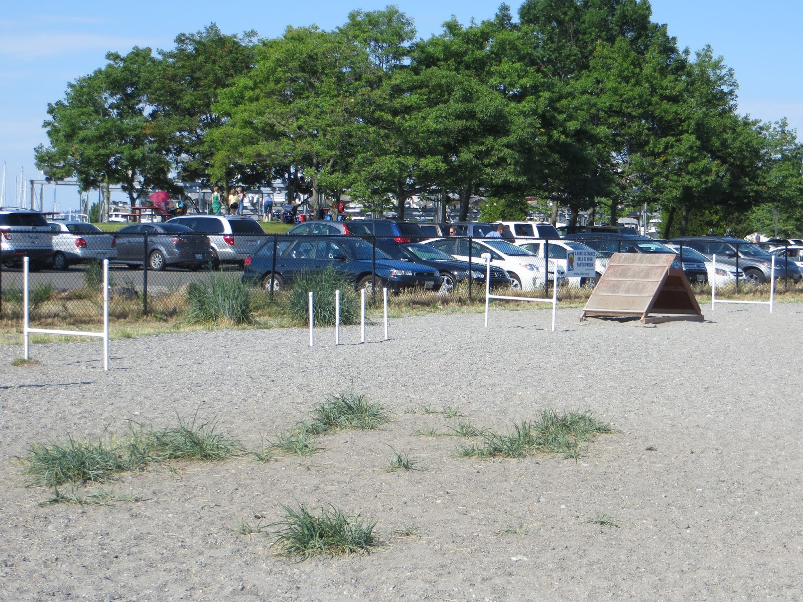 Tina and Cedar's Dog Blog