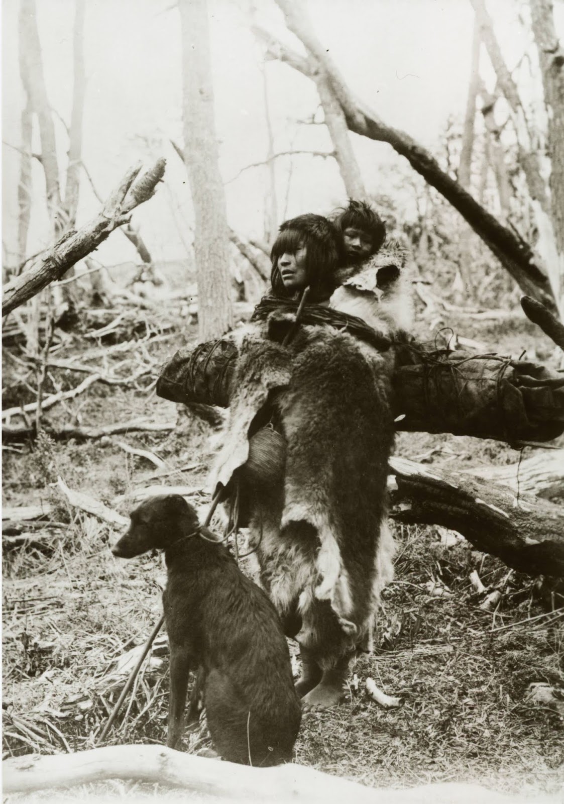 Secret third dog class : r/tumblr