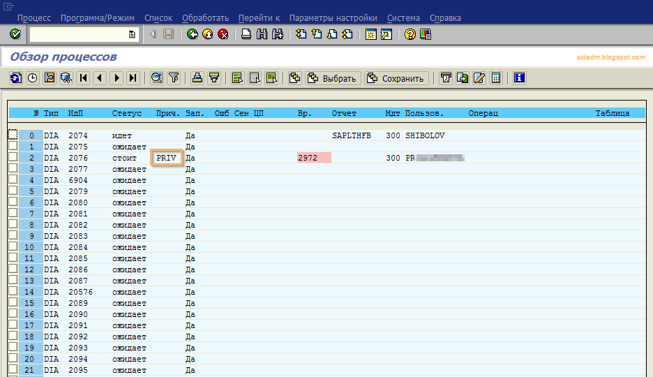 sidadm: Рабочие процессы в PRIV режиме