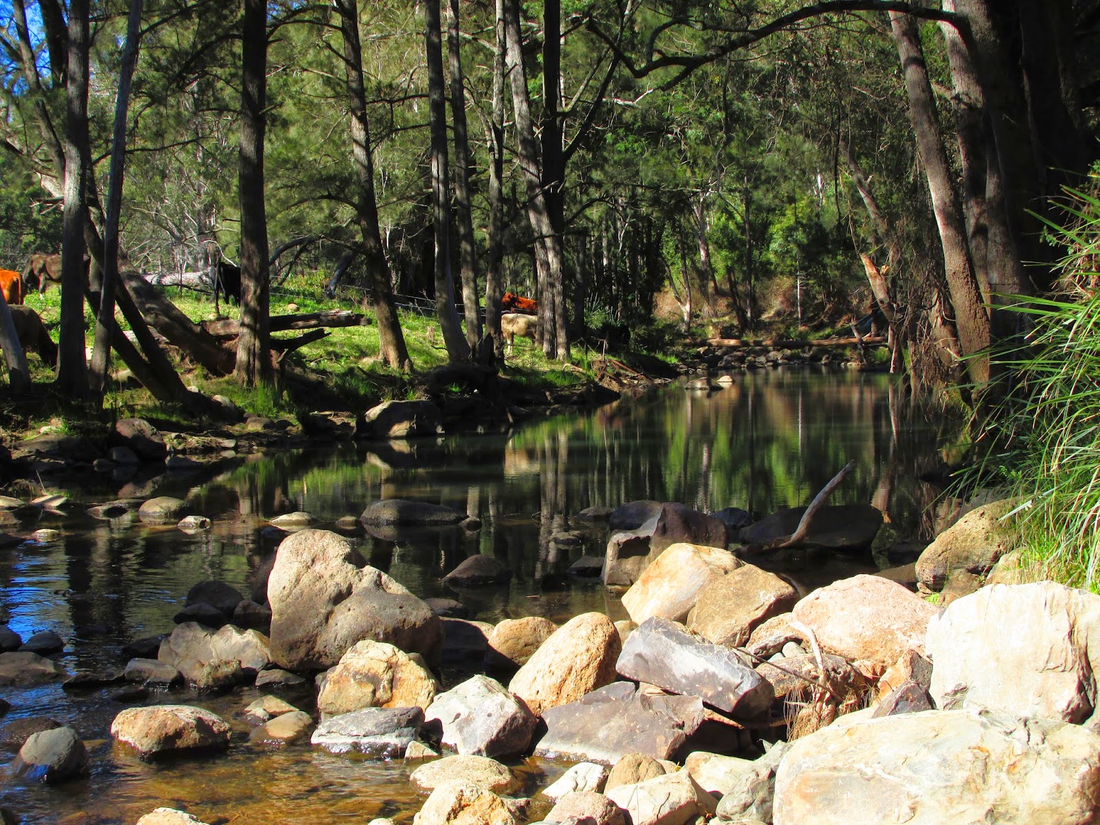 Blue Water Paddling: "The Head" - Condamine River