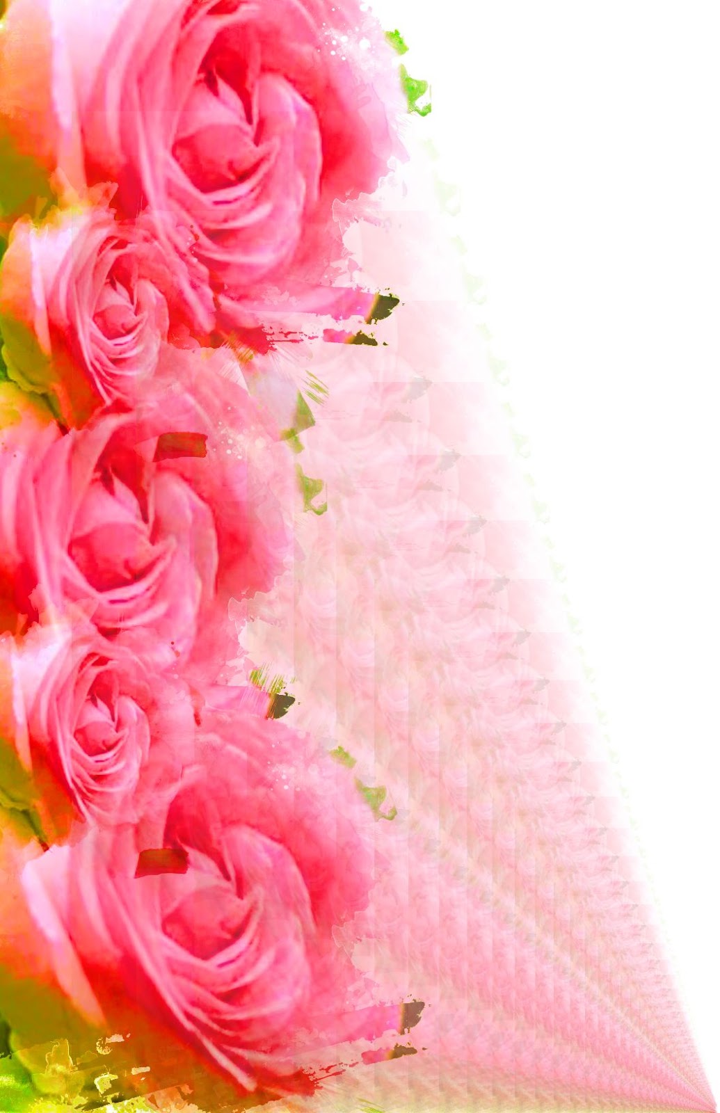 Flower Borders - Roses And Daisies