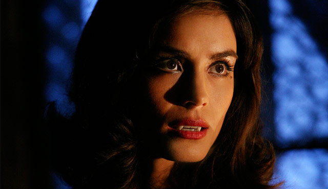 wallpaper proslut: The Most Amazing Vampire Series Ever : Moonlight