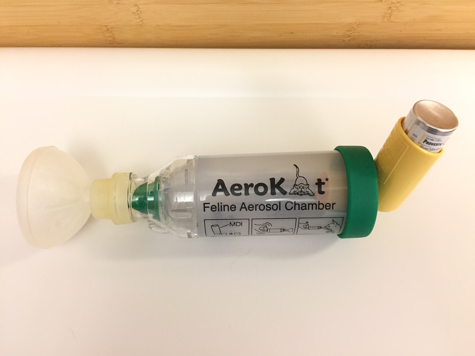 Inhaled Medications: Another Option for Medicating Your Cat