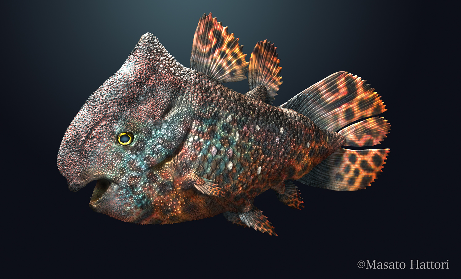 Marchan Blog: フォレイア Foreyia maxkuhni