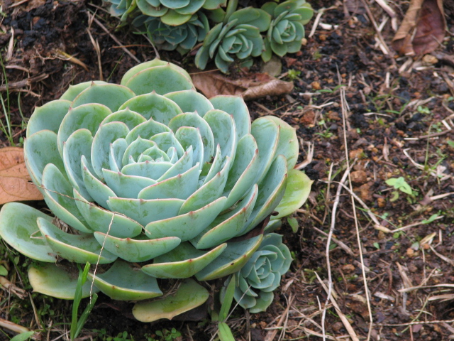 EL ARTE DE CREAR. Actividades de aula: REDES MODULARES