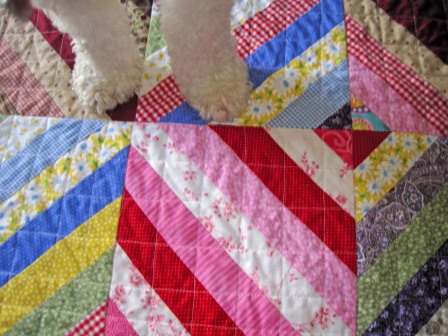 Sweet Bee Buzzings: String Quilt: a.k.a Charlie's Impromptu Photo Shoot
