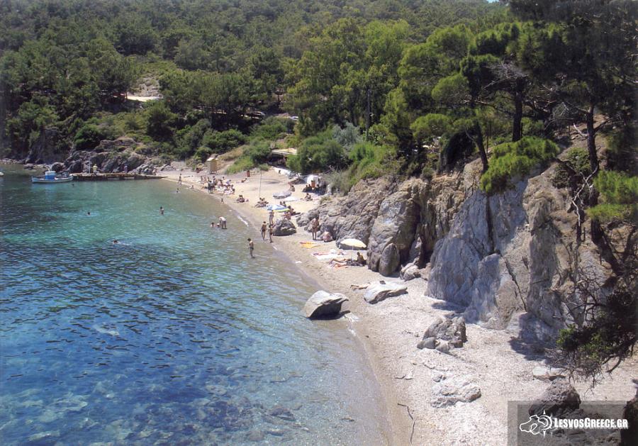 Παραλίες κοντά στη Μυτιλήνη-Καλοκαίρι μέσα στο κέντρο - LesvosPost.com ...