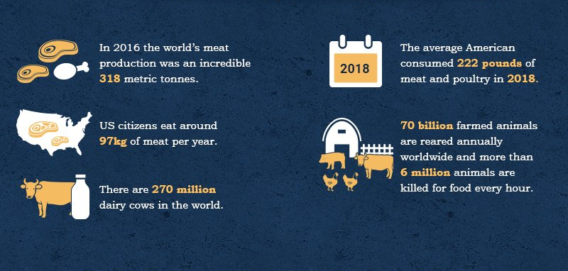 The Environmental Impact Of Livestock Farming Infographic the-environmental-impact-of-livestock-farming-infographic