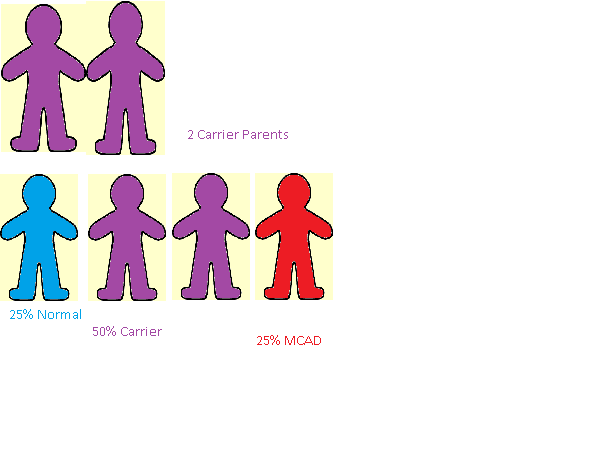 MCAD Deficiency and Me: MCAD and Pregnancy