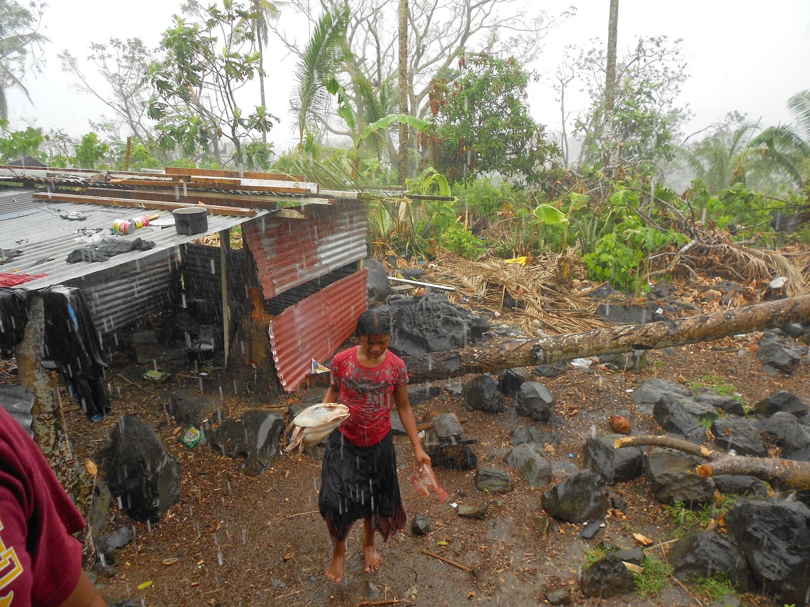 Micronesia Miracles: Romanum (Island of Chuuk) after Typhoon Maysak