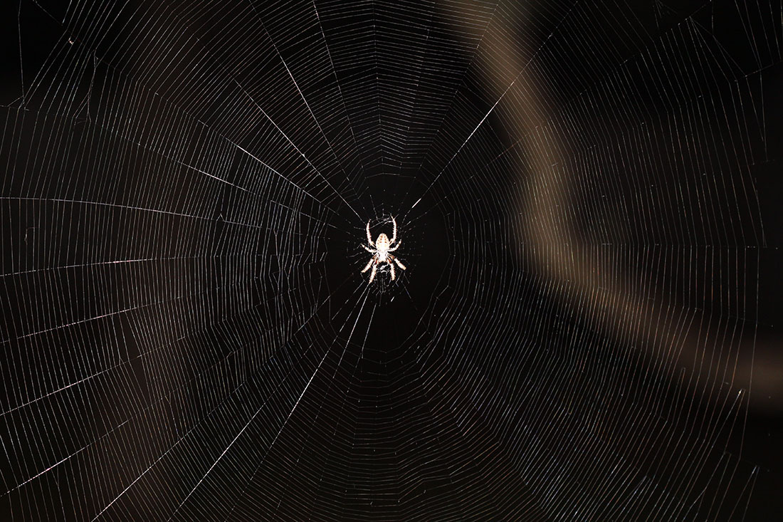 Corey Carter | Austin, Texas: A Day's Work