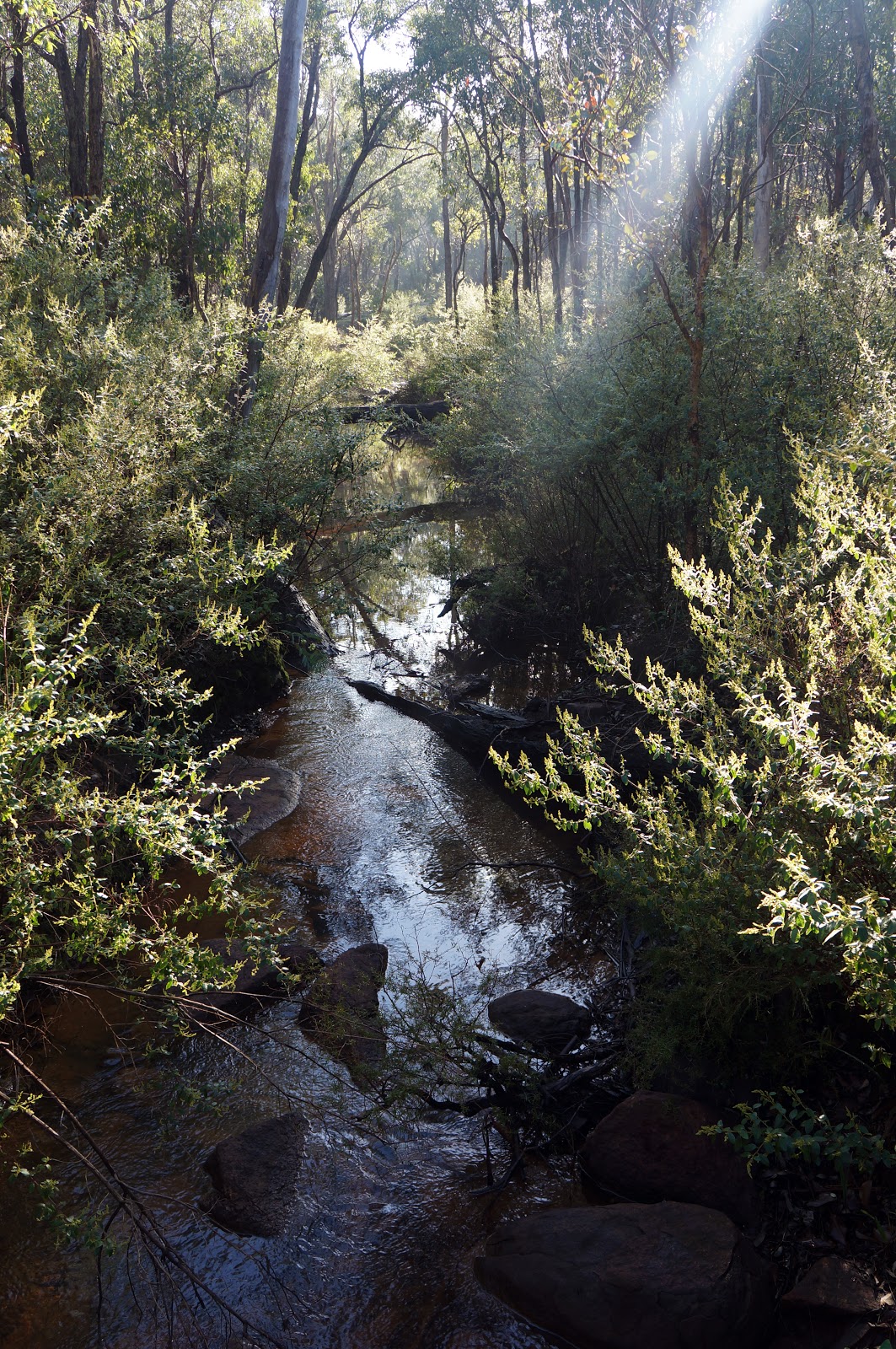 Kitty's Gorge Walk Trail (Serpentine National Park) ~ The Long Way's Better