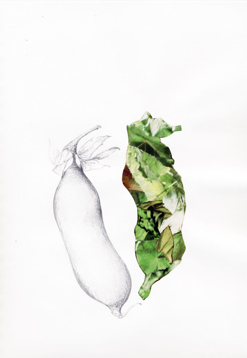 Art shares: Amy Ross, Contemporary watercolorist and collage artist