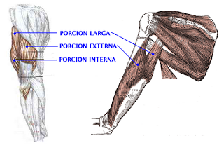 Grafología Educativa de Eva Procopio: marzo 2014
