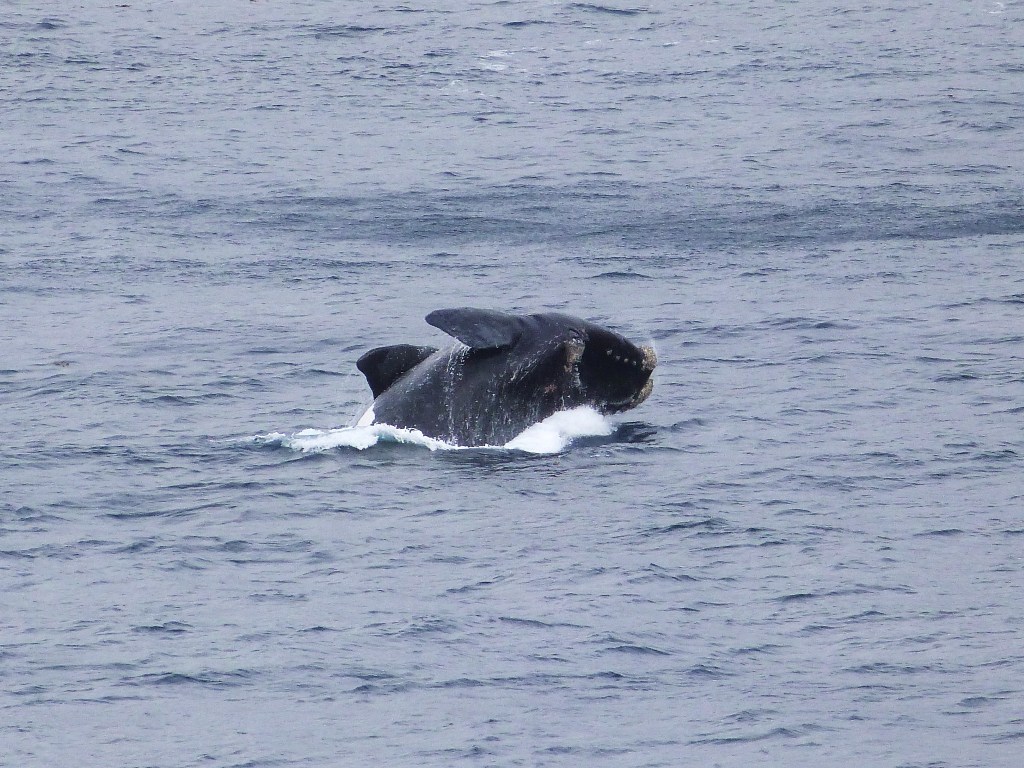 2000 Miles from Anywhere...