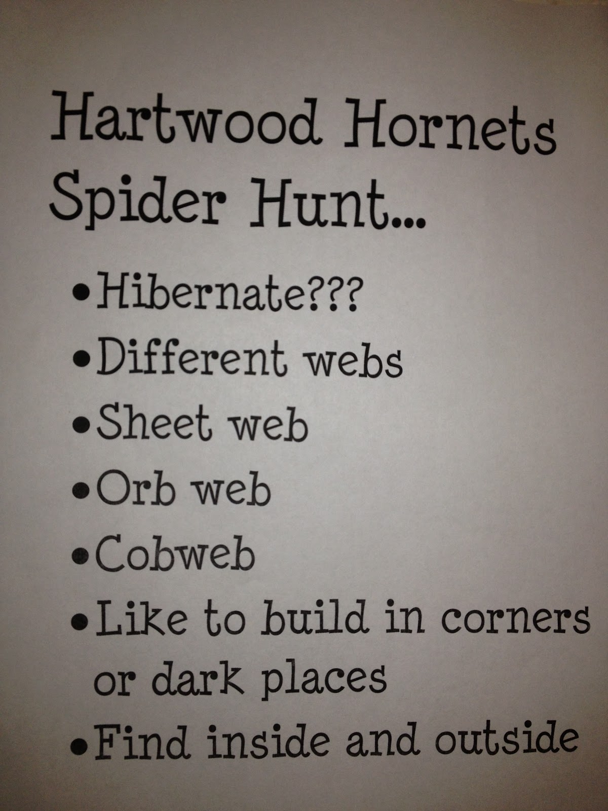 Science Gal: Spider Hunt