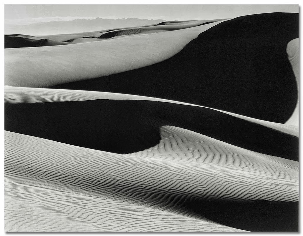 Totum Revolutum: La Fotografía Pura de Edward Weston