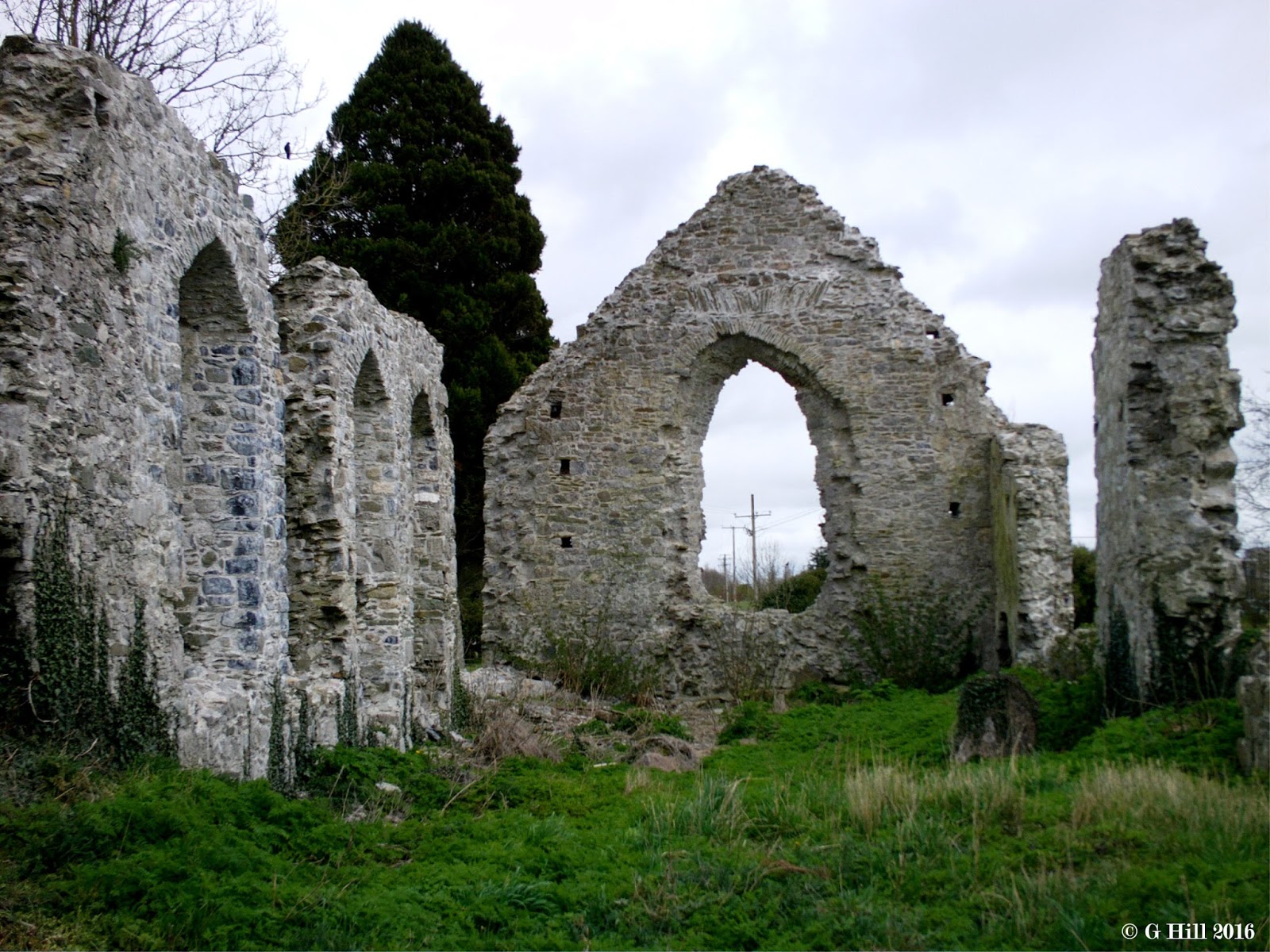 Ireland In Ruins: The Grey Abbey Co Kildare