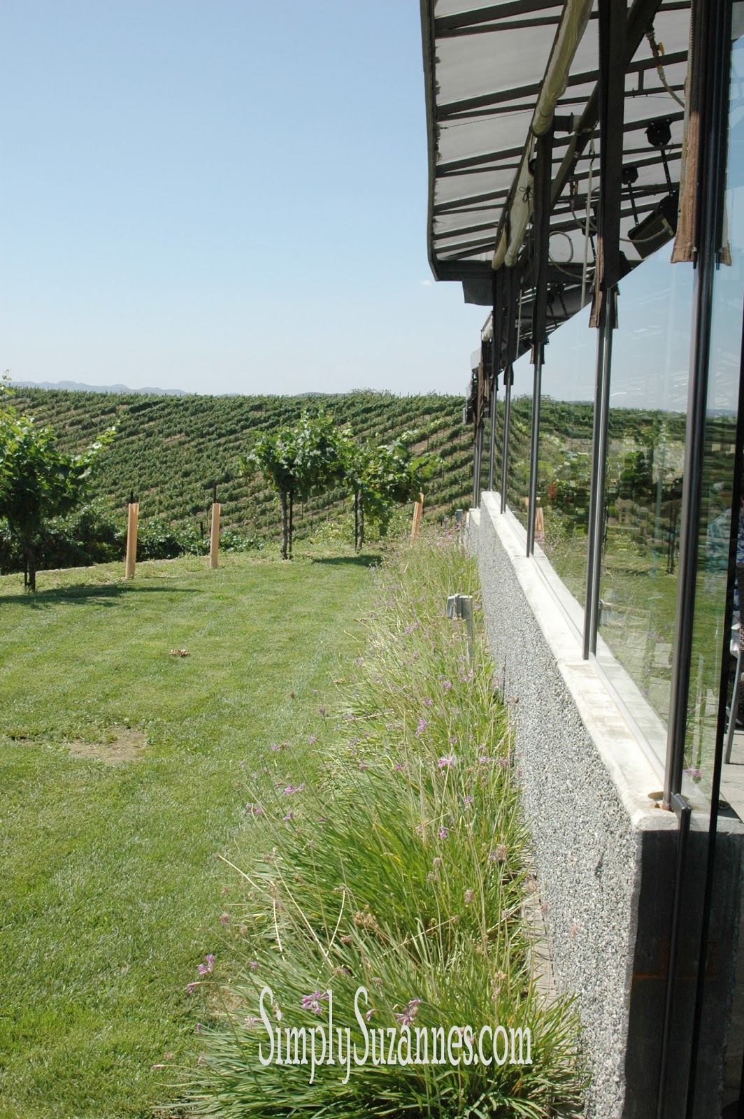 Simply Suzanne's AT HOME: dining in a vineyard