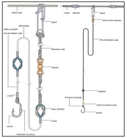 CARA MENGGUNAKAN ALAT TANGKAP LONG LINE