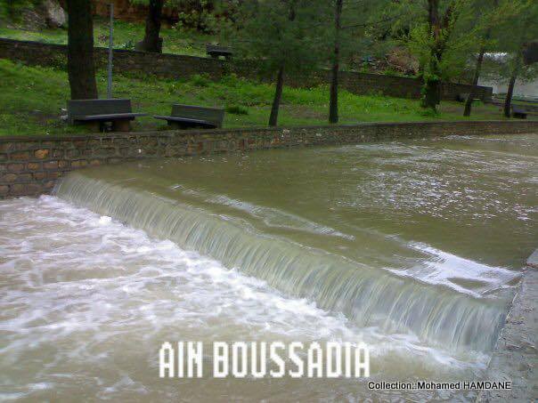 CULTURE et PATRIMOINE DE TUNISIE EN IMAGES- MOHAMED HAMDANE-ثقافة وتراث ...