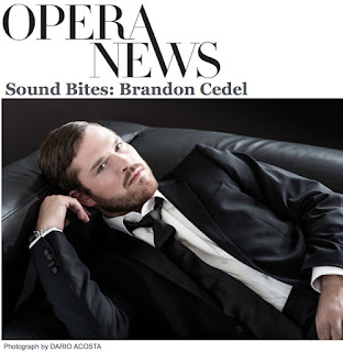 BARIHUNKS ®: Brandon Cedel wins Annenberg Fellowship Fund career grant