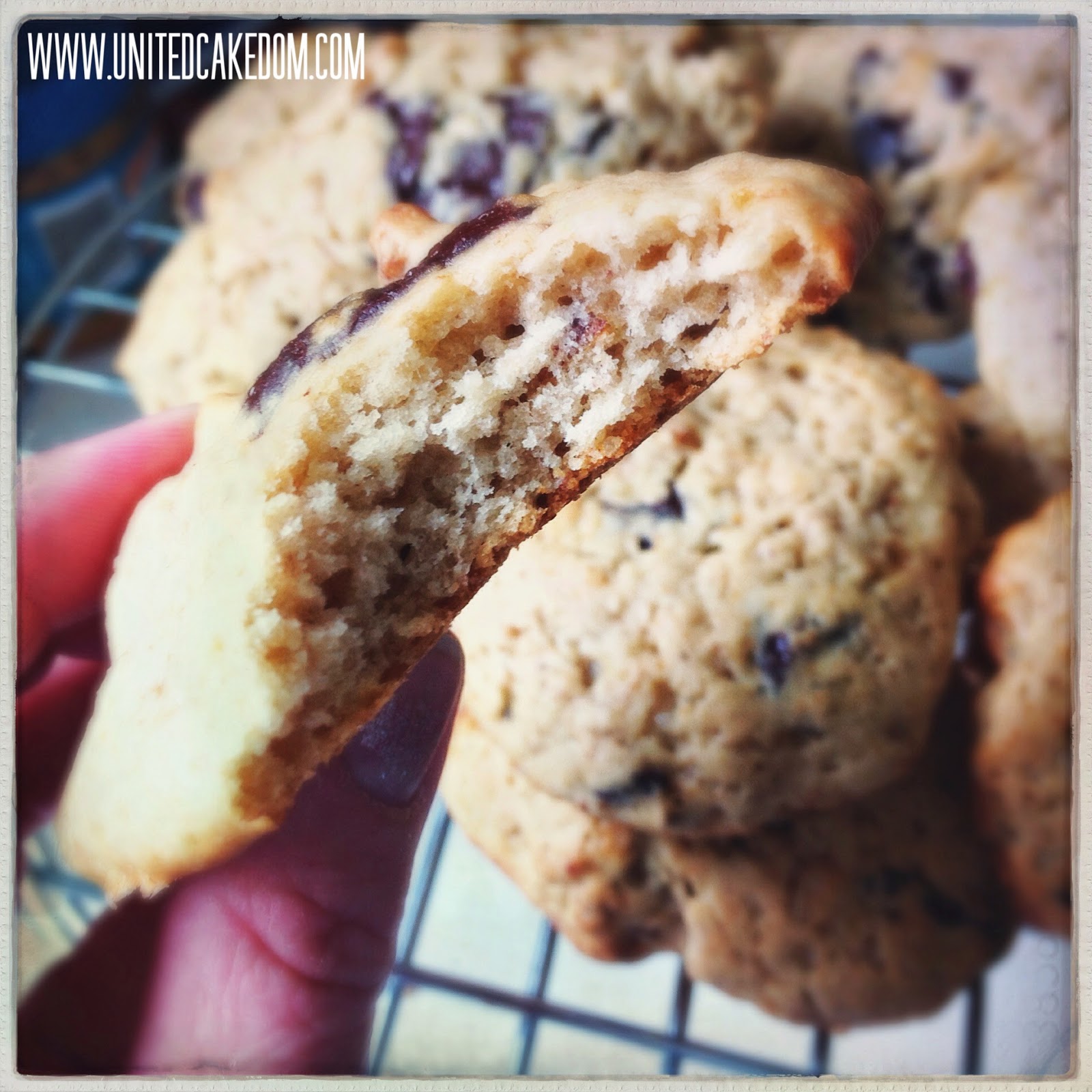 United Cakedom: Fair Trade Banana, Chocolate, and Walnut Cookies