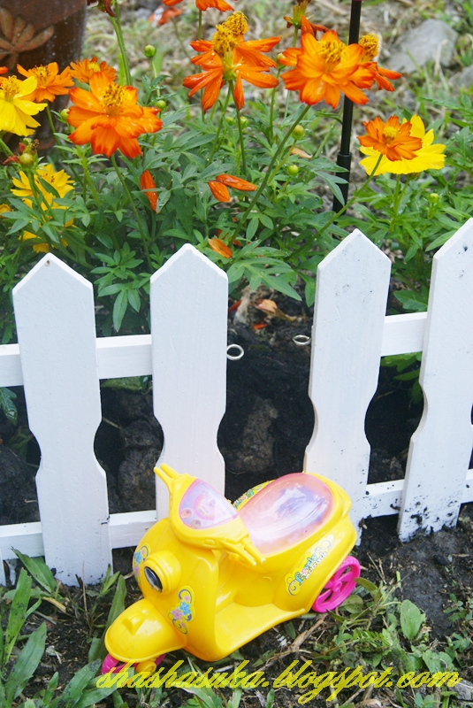 HoBi & KoleKsikU...: Taman Bunga Mini DIY (1)