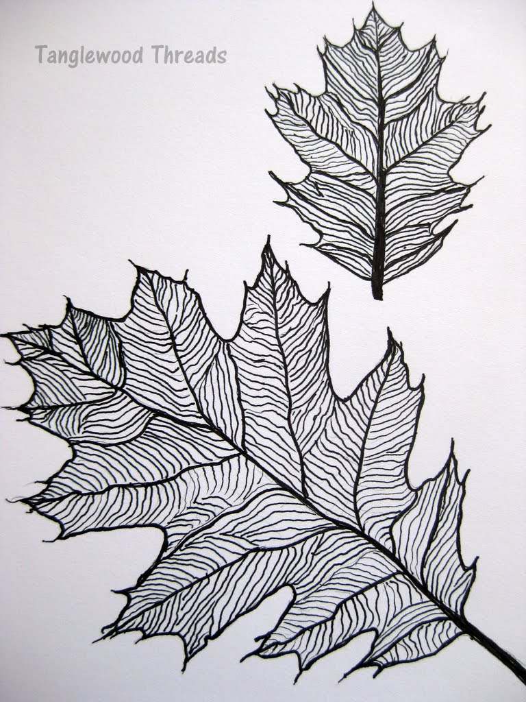 Tanglewood Threads: Thread and Ink