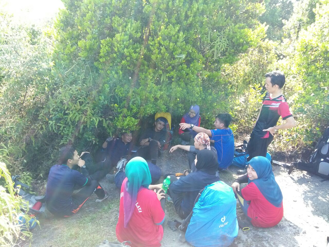 Hiking Log : Trans Tikus Makmal (Pine tree - Twin Peak - Semangkuk ...