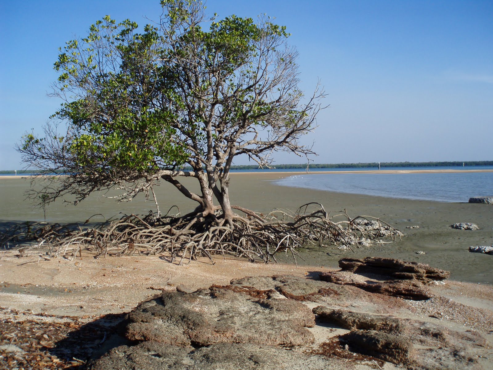 Sailing North: Weipa to Boyd Point