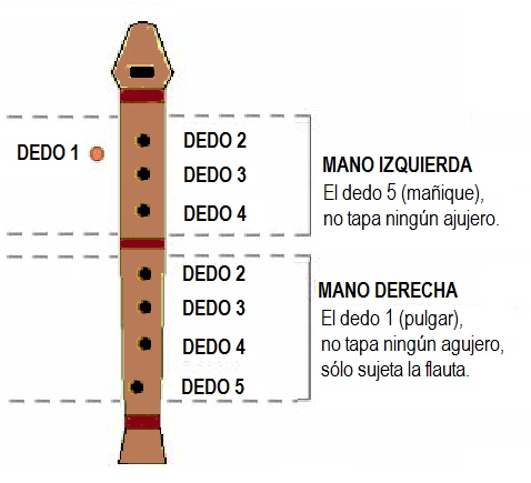 Aprende a tocar flauta dulce desde cero: APRENDE A TOCAR FLAUTA DULCE