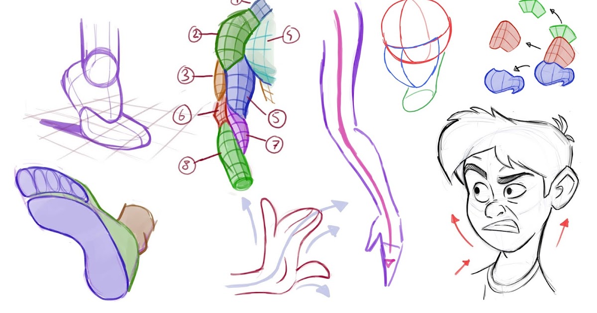 Learning drawing principles: week 4