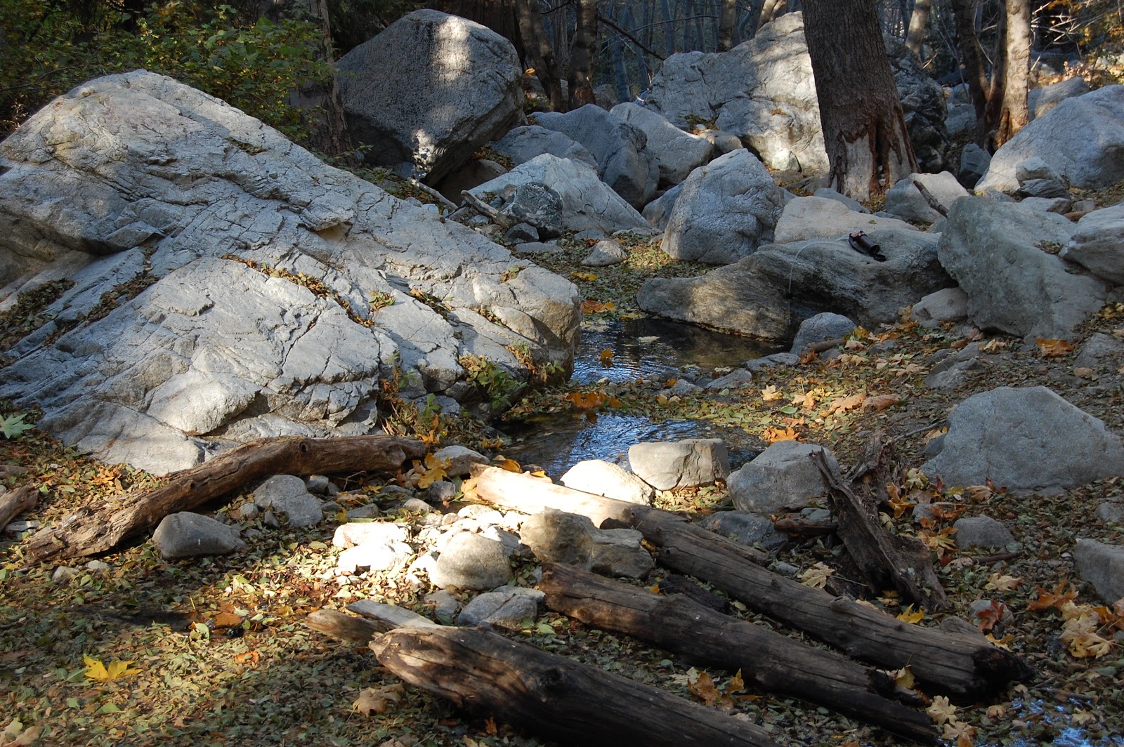 Hiking Timber Mountain | East West Hike