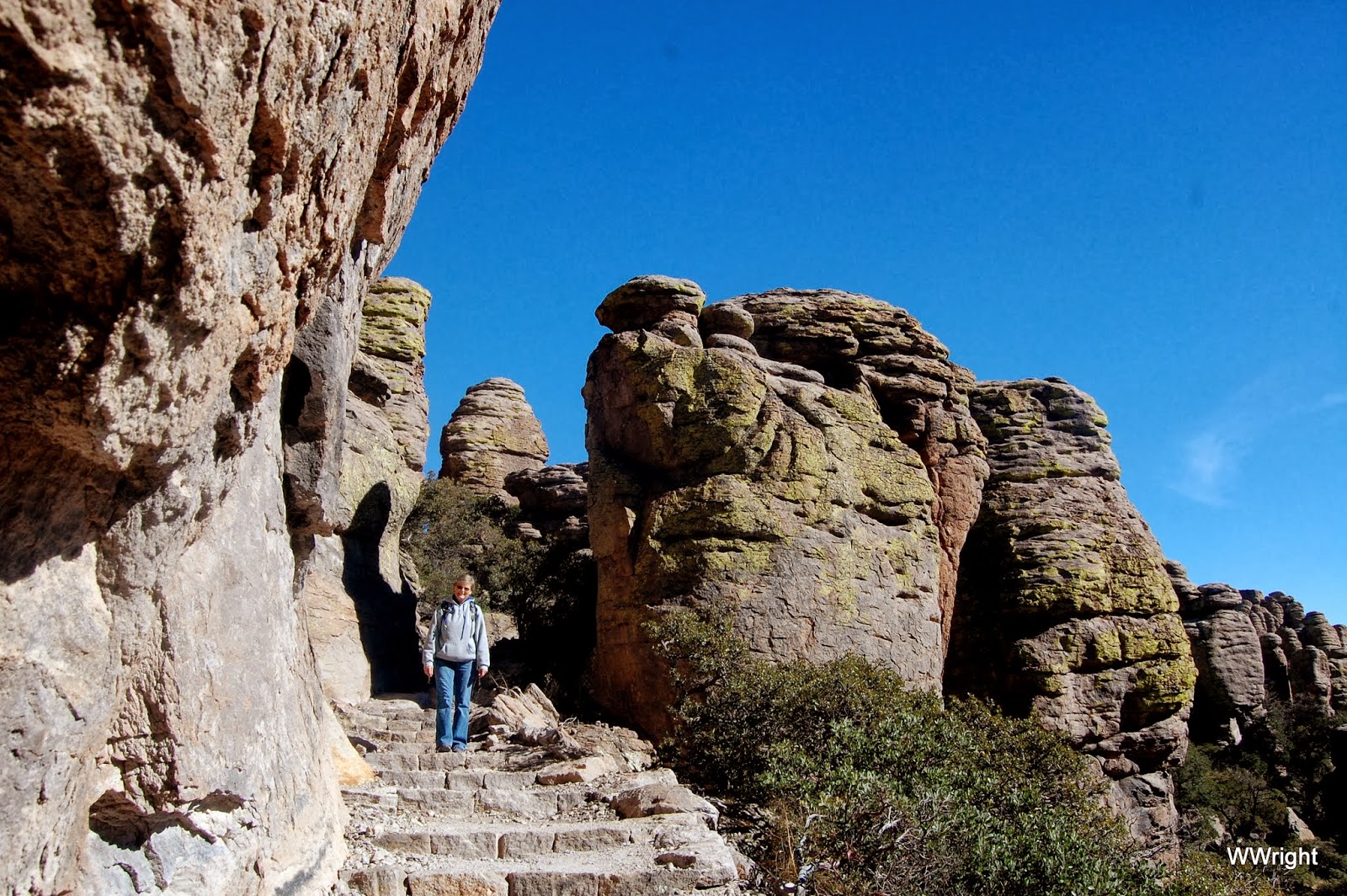 Anywhere USA: the Wonderland of Rocks