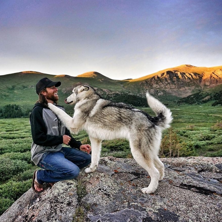 White Wolf : Meet Loki The Wolf Dog That Loves Being Wild And Free