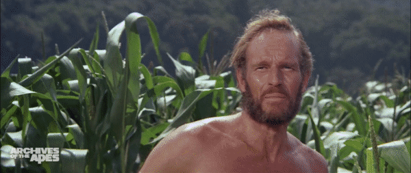 Archives Of The Apes: Planet Of The Apes (1968): The Hunt