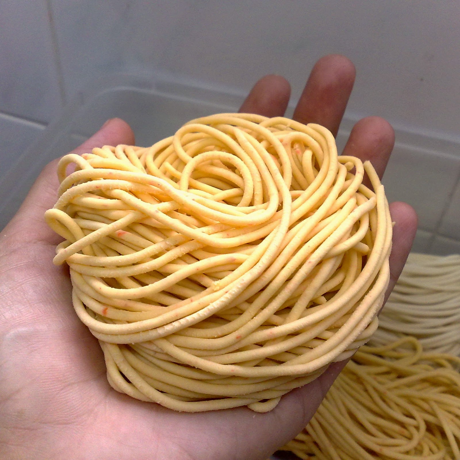 Best Noodle Dishes, Homemade Noodle Recipes & Creative Ideas: Homemade ...