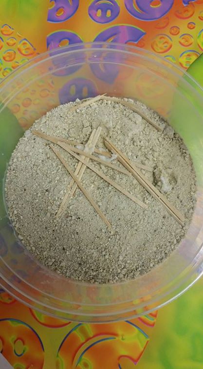 Growing a STEM Classroom: Fossil Formation Lab - Simulate How Fossils ...
