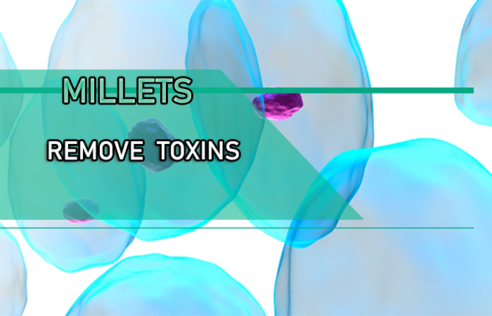 MILLETS, the must have Food