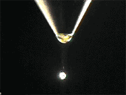 ENCAPSULATION PROCESS: