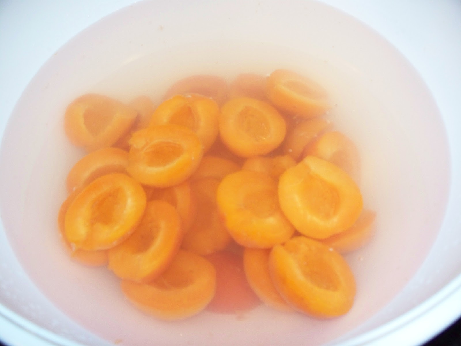 Jabez Farm: Dehydrating Apricots and a Giveaway!