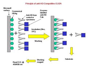 TEST ELISA | yoe_rhin ph3tox"