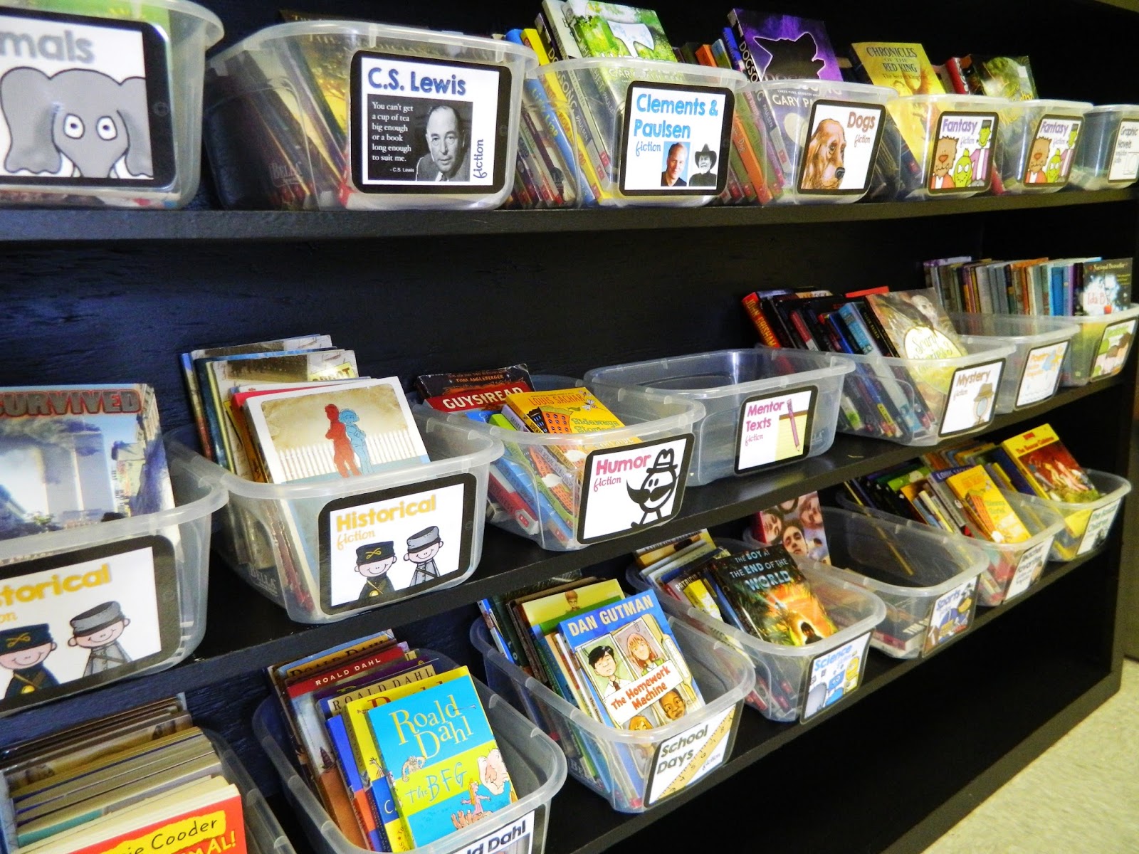 5th Grade Classroom Library